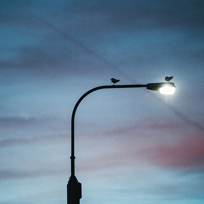 Grupo Indal - Diana Capital